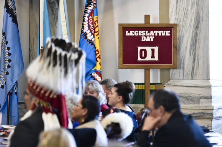 Sheila Hogan: Resolution for the new year: Focus first on Montanans