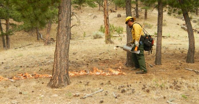 Gallery: Arapaho Fire