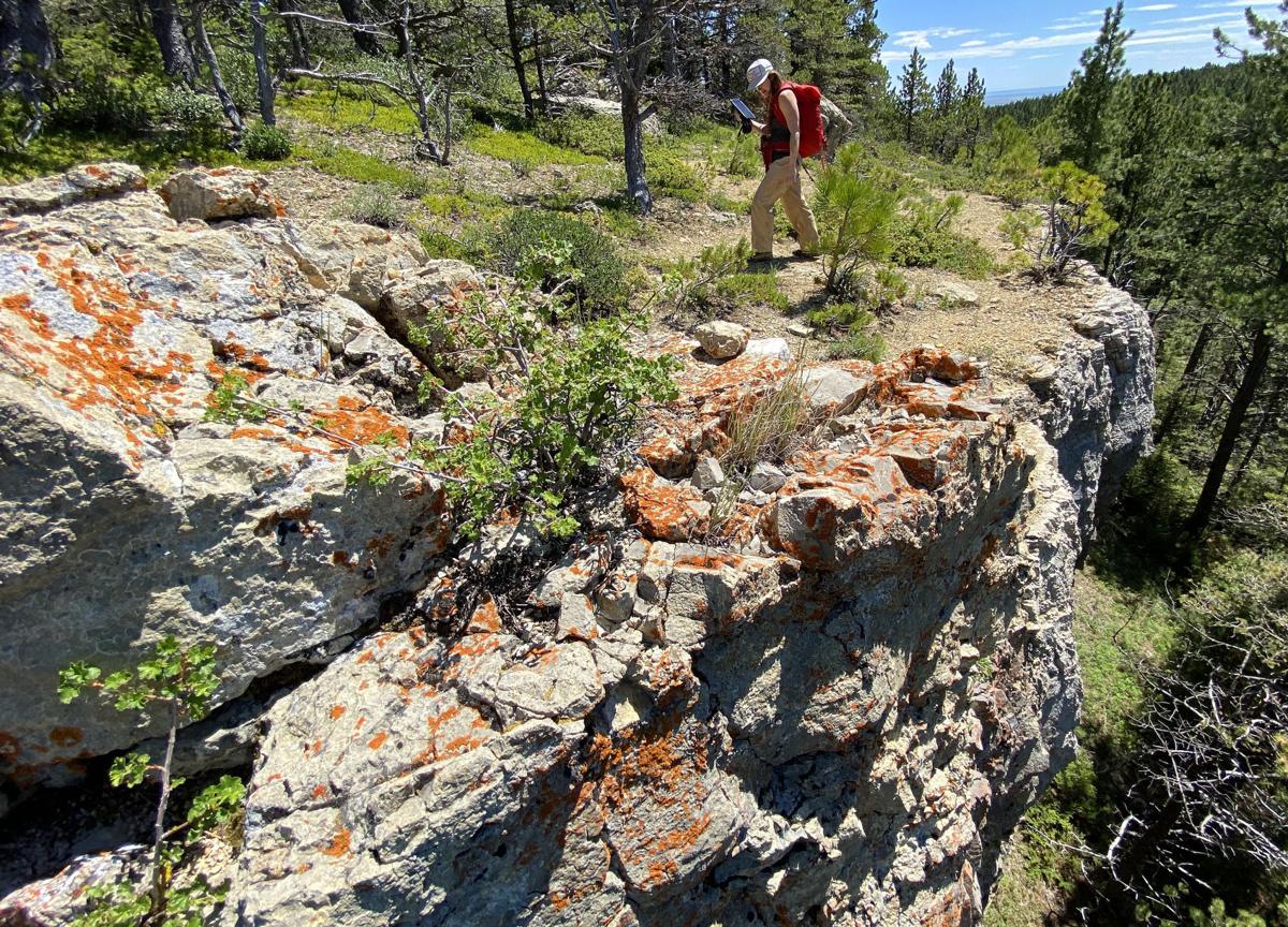 Jeff Darrah: Wilderness or NOT?