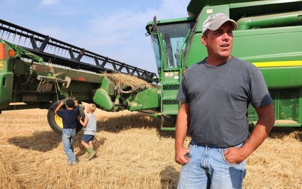 Montana wheat harvest late but high in protein