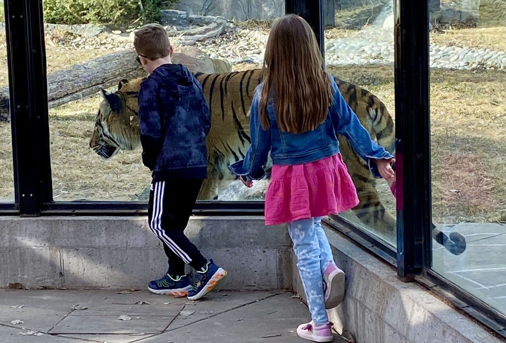 ZooMontana offers great Billings walking path with wild life
