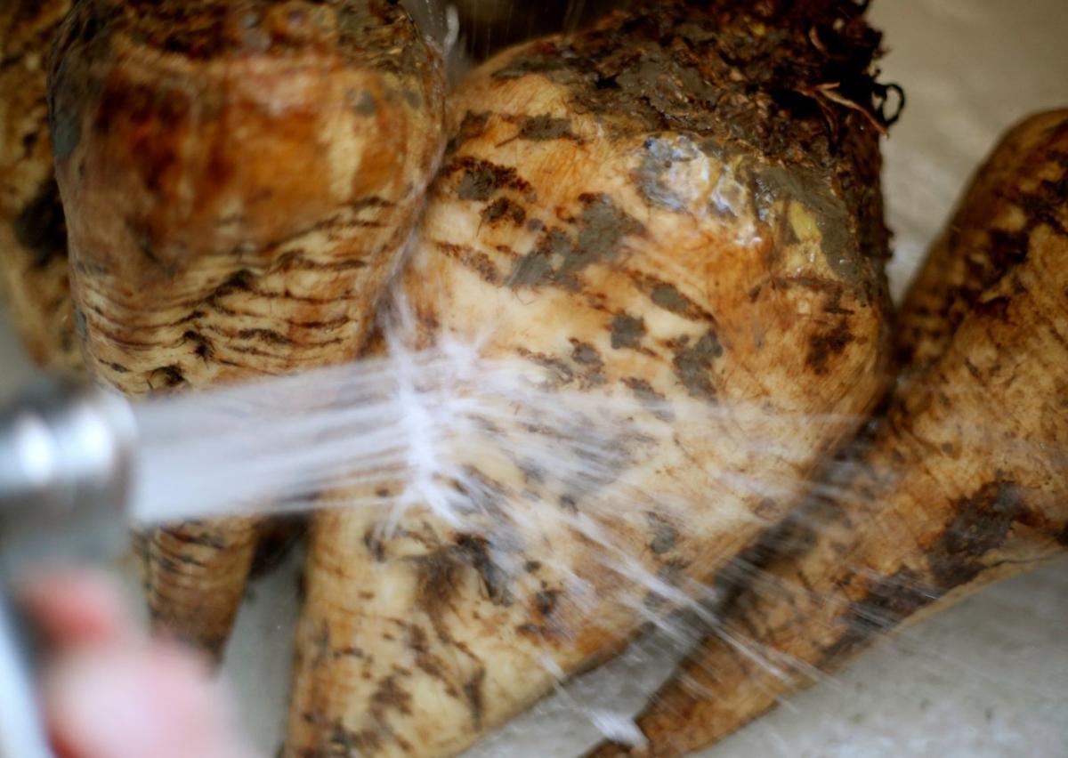 Sugar beets to sugar