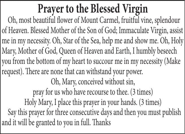 NDNA NETWORK ADS - Ad from 2026-01-06