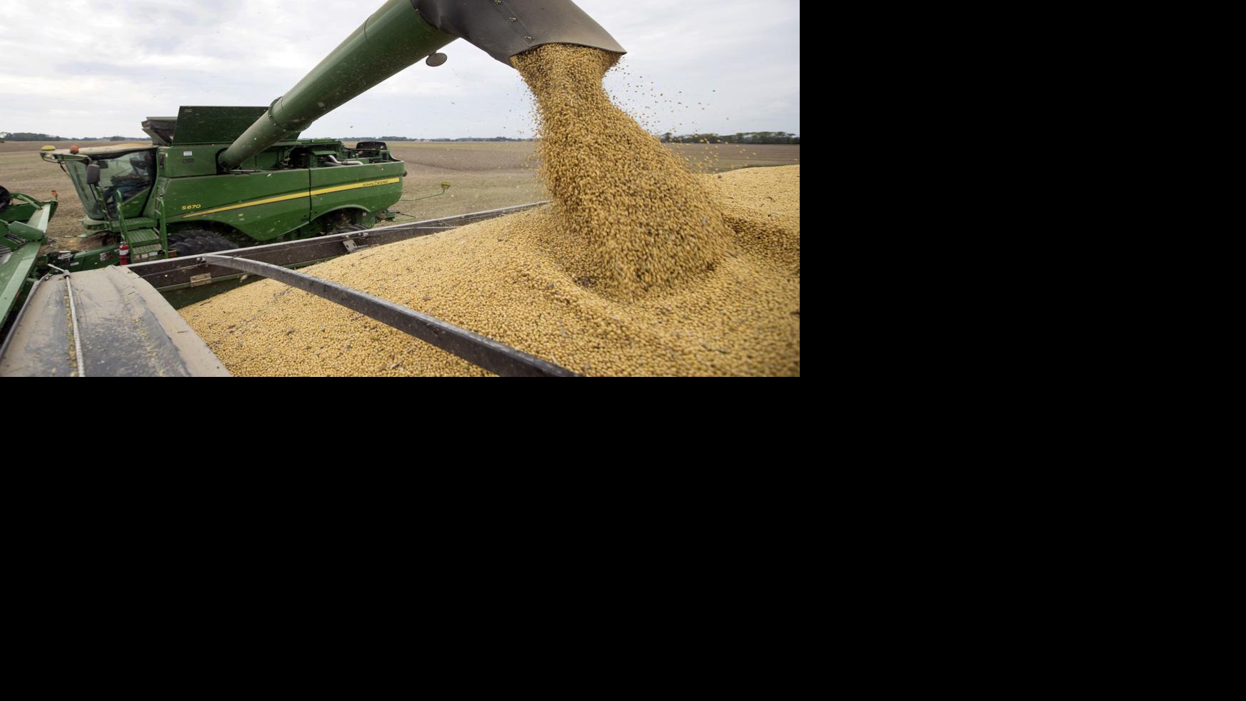 Trade talks testing North Dakota farmers | Agriculture news ...