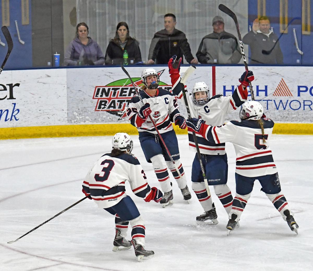 One goal enough for Blizzard | Hockey | bismarcktribune.com