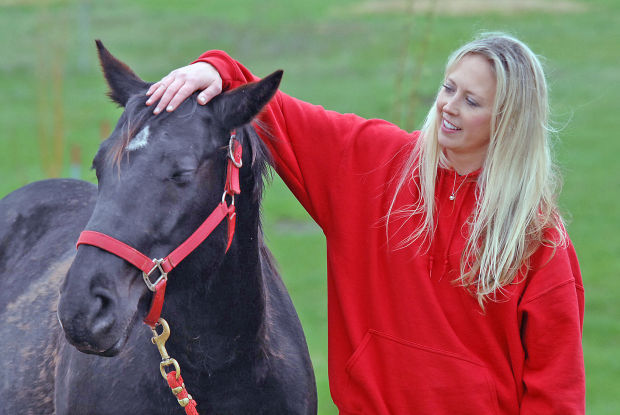 Rescued horse thrives in new home