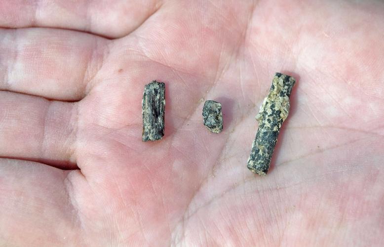 'Citizen science' on display at public fossil dig; volunteers aid state ...