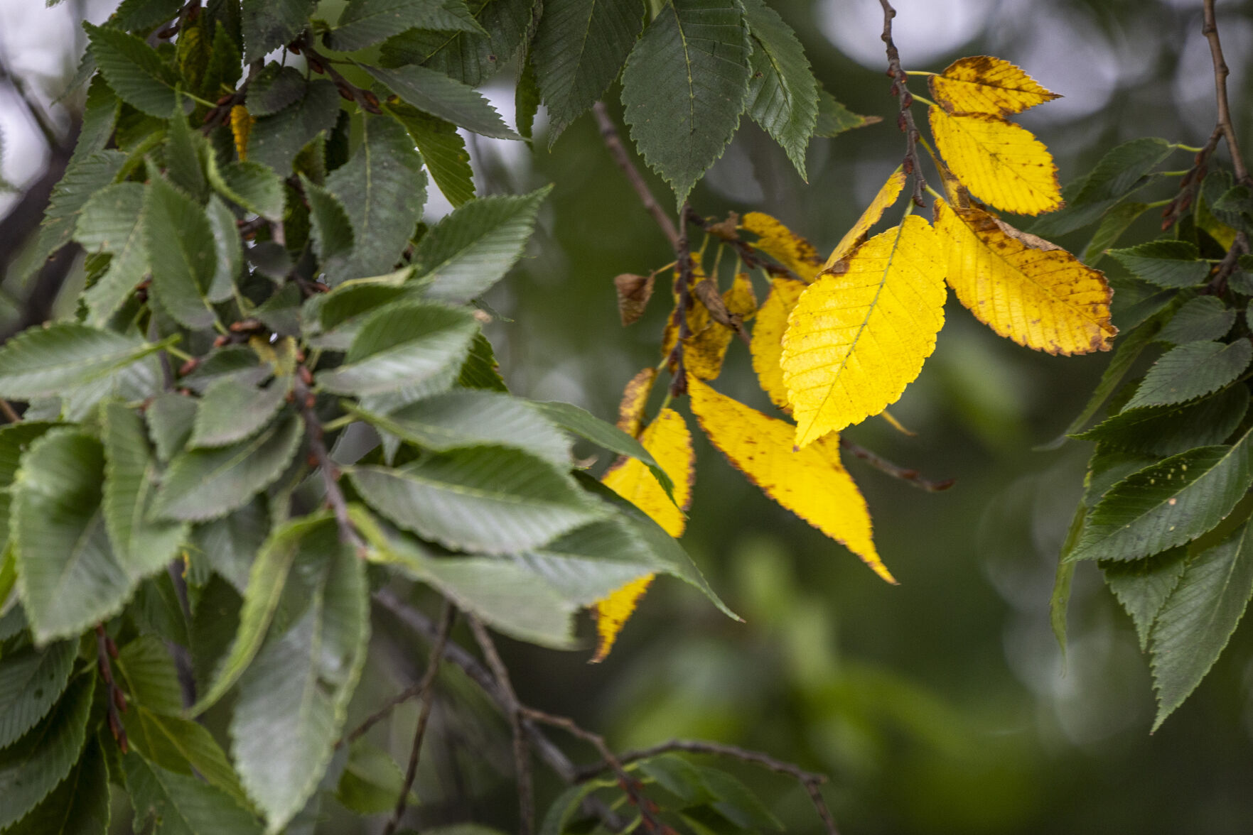 Hot weather records broken in North Dakota on Friday