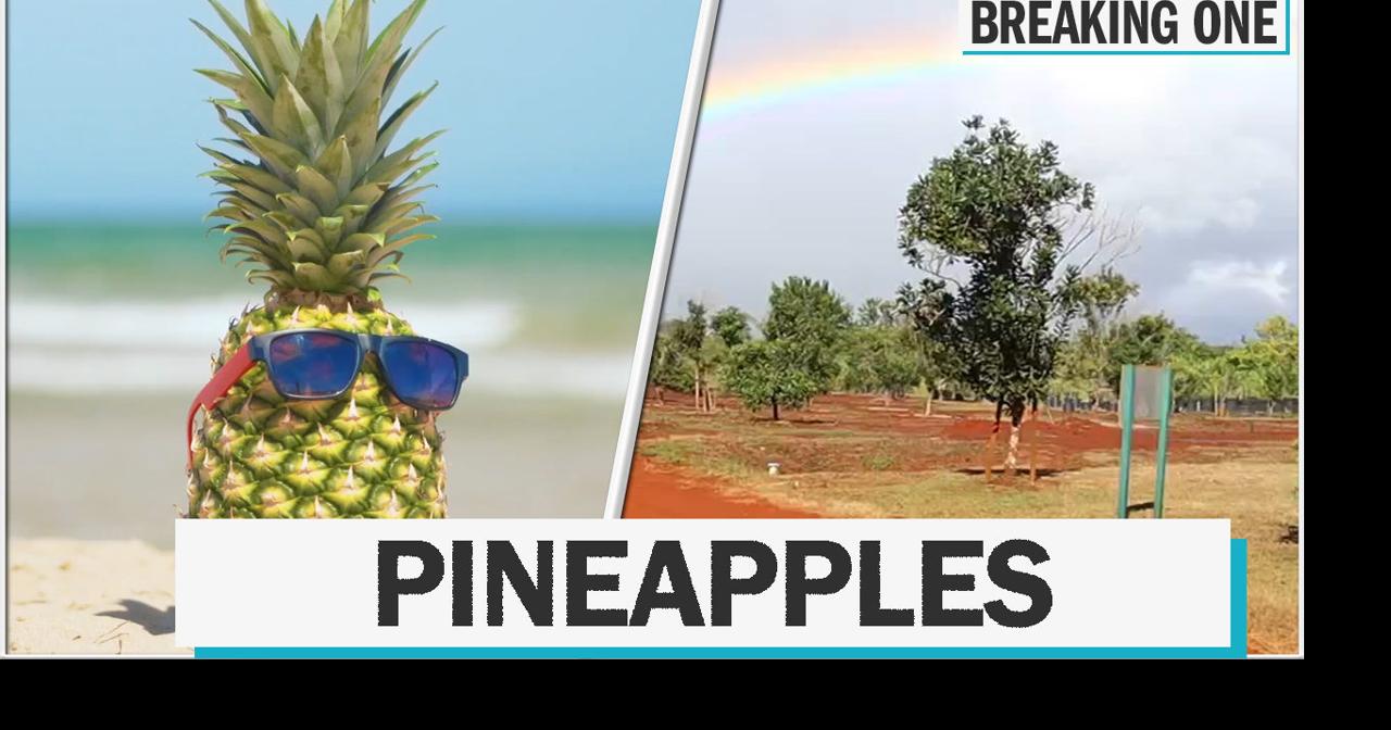 The fancy history of pineapples you probably never knew