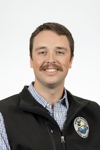 Breeding duck numbers decline in North Dakota