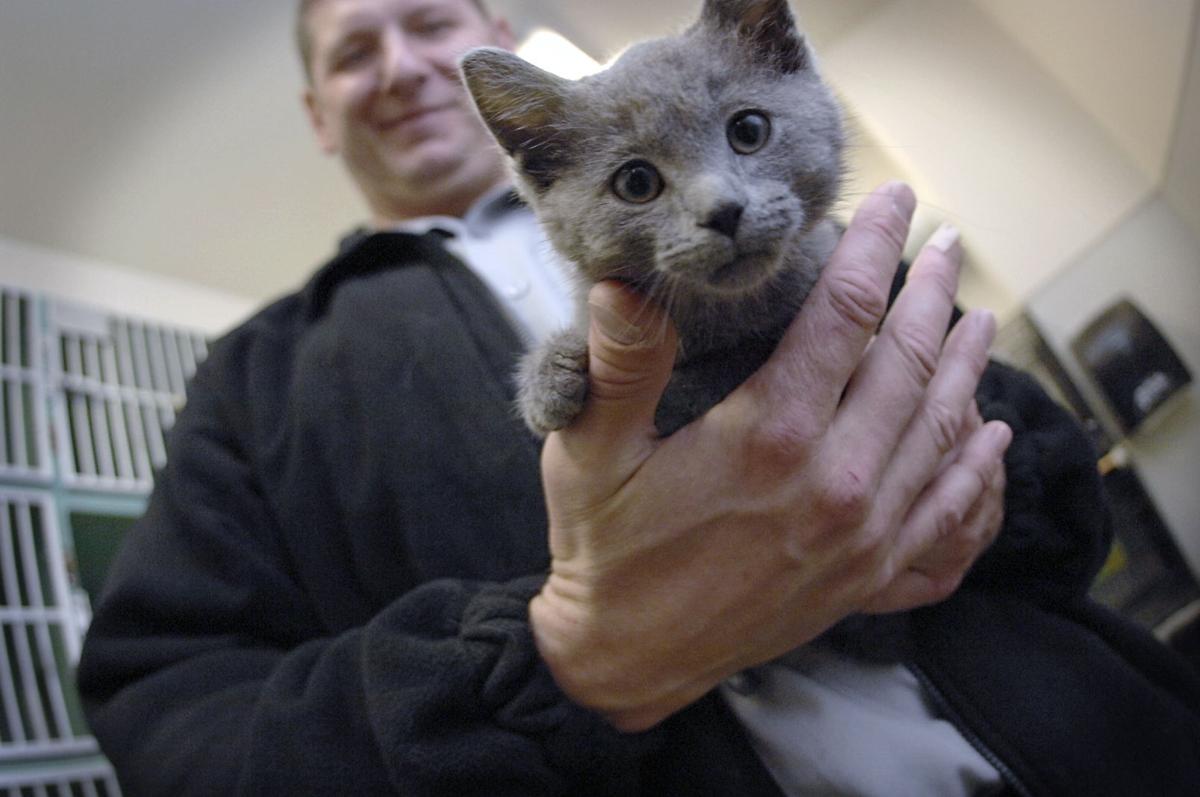 Animals at Bismarck-Mandan city impound