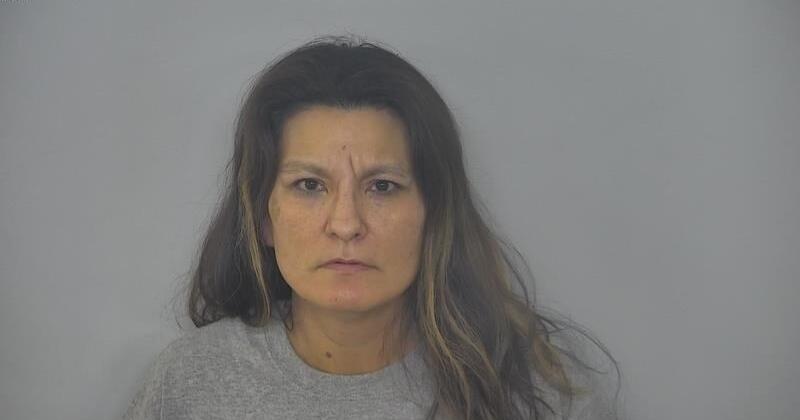 Bismarck woman Lisa Guy accused of terrorizing