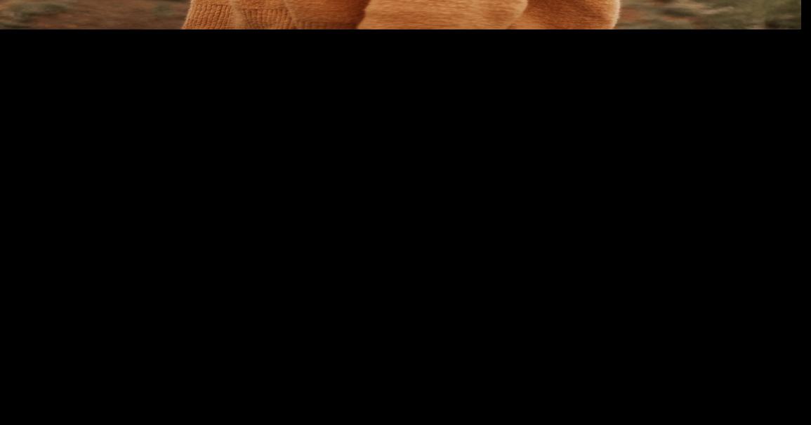 Tara Dahl's Instagram, Twitter & Facebook on IDCrawl