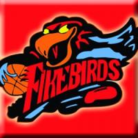 Firebirds baseball looking to take next step