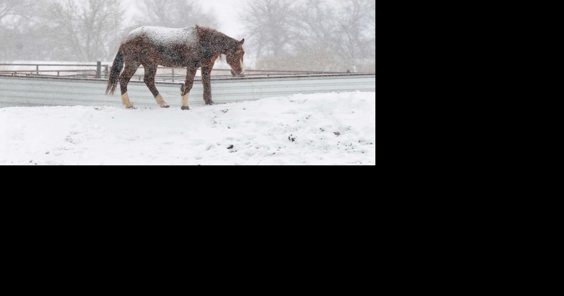 Bismarck's winter is fifth-snowiest in last century and a half; more ...