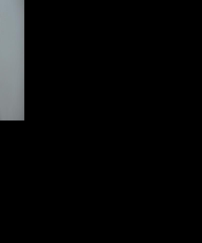 Galusha pleads guilty to fleeing, has endangerment charge dismissed