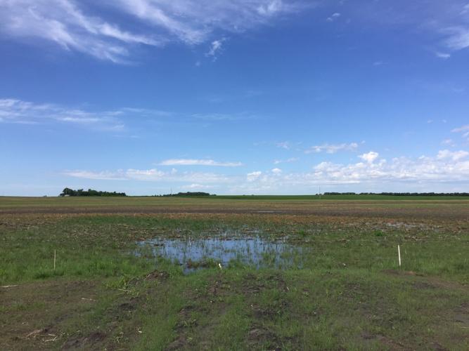 NRCS tackles backlog of wetland determinations