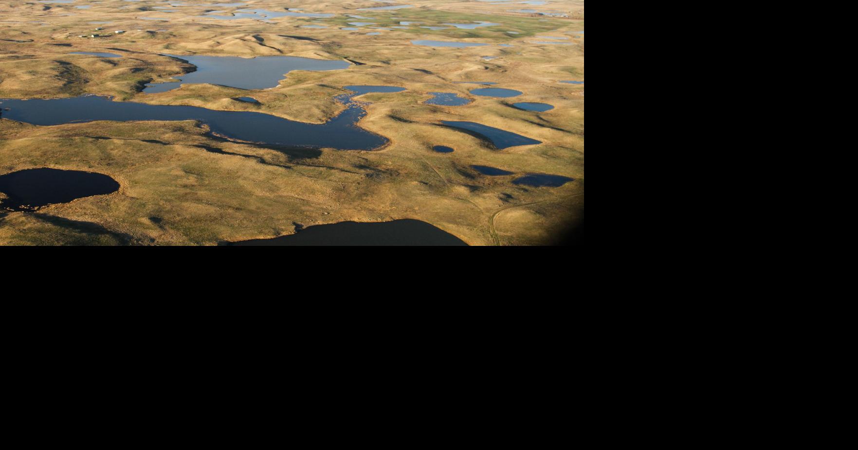 Crops continue to eat up Great Plains grassland