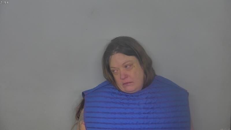 Bismarck woman sentenced to prison in January stabbing case