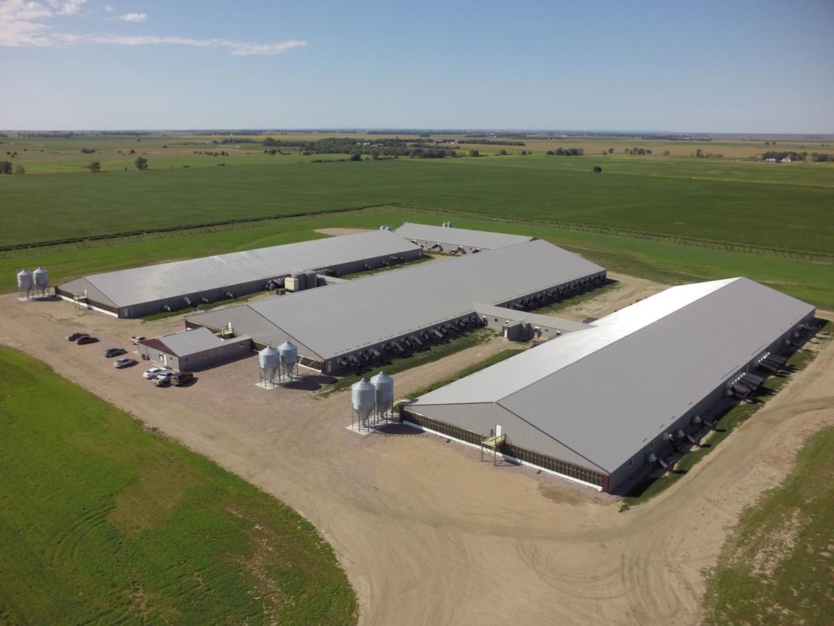 Tribe taking a stand against large hog farm near Devils Lake