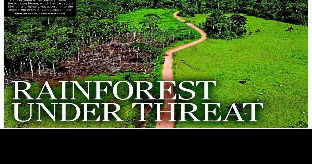 RAINFOREST UNDER THREAT