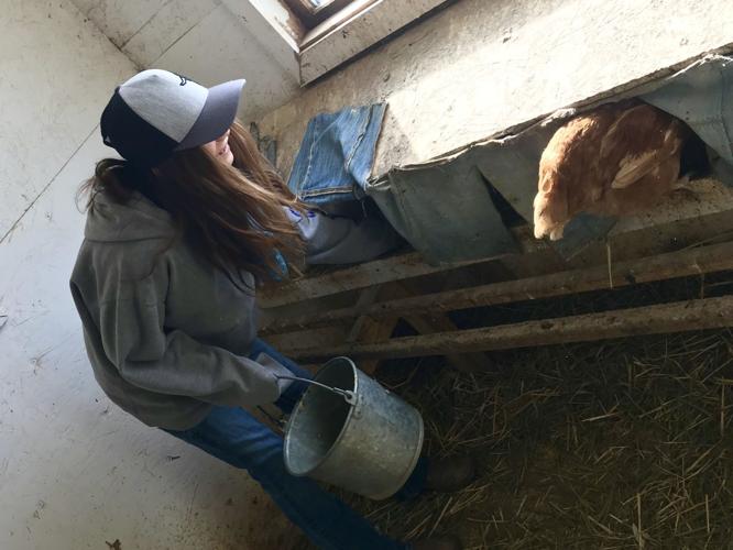 Between Easter and a pandemic, North Dakotans scramble for eggs