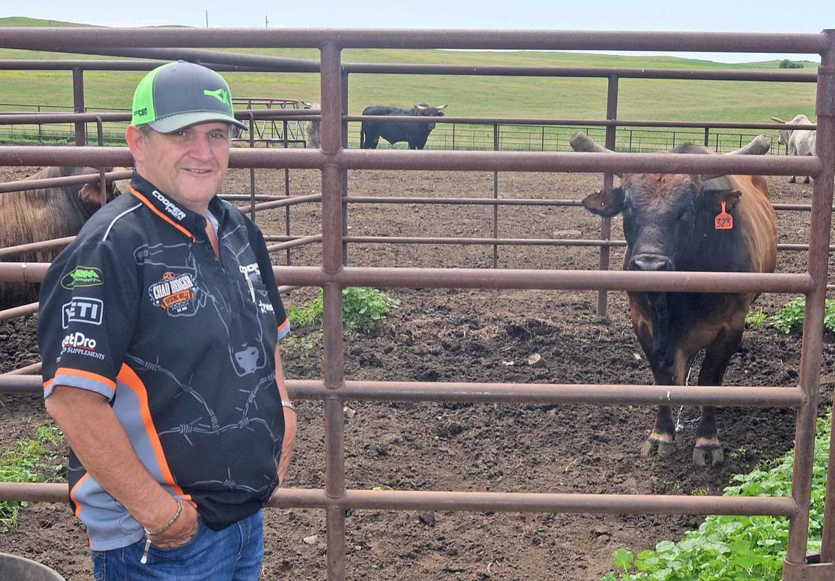 Bulls to buck in Mandan Rodeo Days | Mandan | bismarcktribune.com