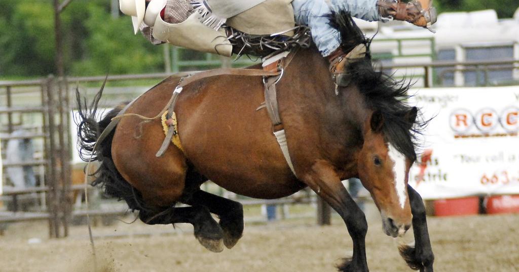Mandan Rodeo Days offers everything from art to rodeo