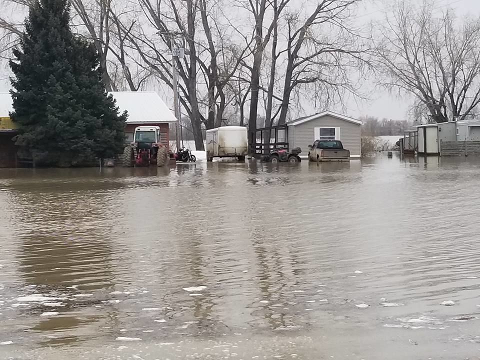 50 homes flooded due to high water on Yellowstone River