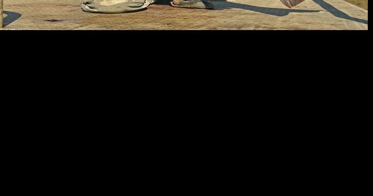 Ridiculously big sucker wins the prize