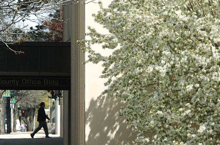 Bismarck November ballot won't see special assessments issue