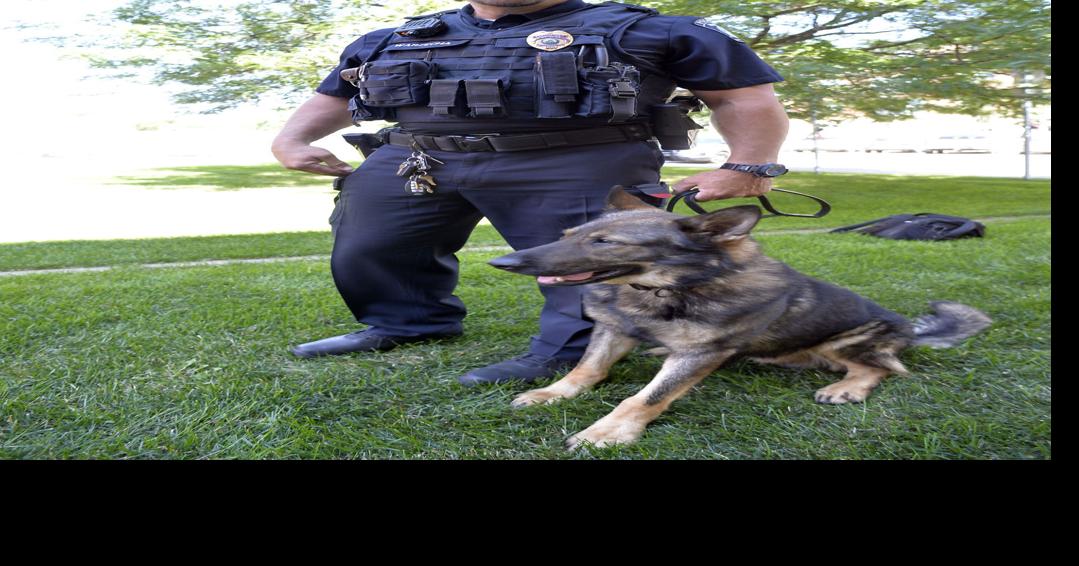 Bond set for former Mandan officer accused of child sex crimes