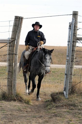Medora horse flourishes under new ownership