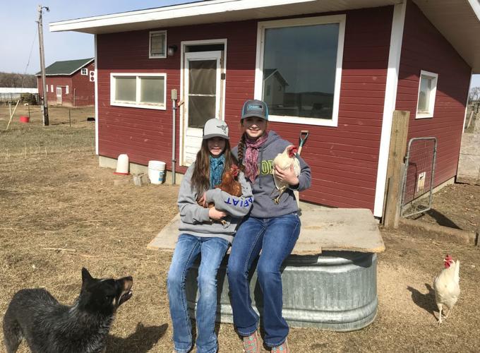 Between Easter and a pandemic, North Dakotans scramble for eggs
