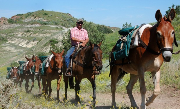 Government mules ease burden in badlands