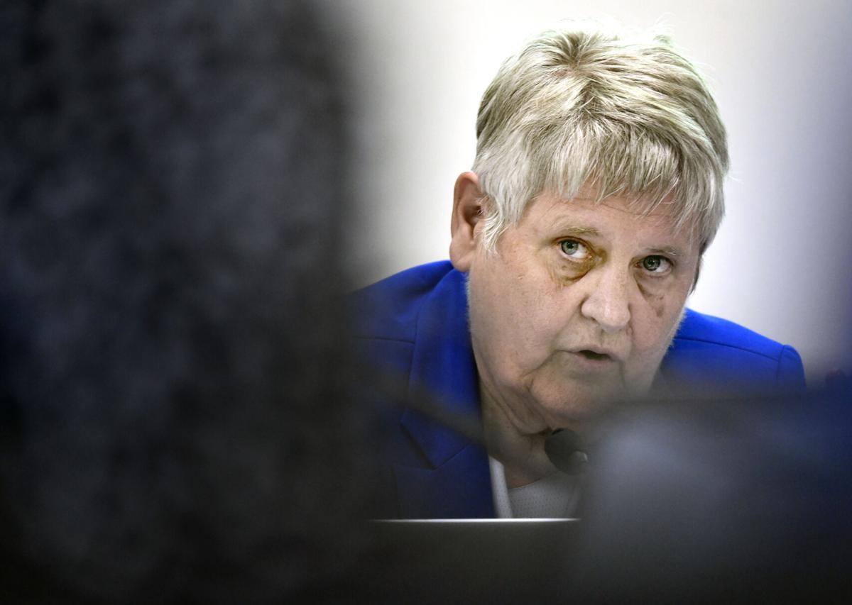 North Dakota Senate Democrats name new leader in Hogan; Boschee ...