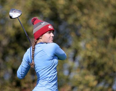 Marsh leads Davies to state golf title
