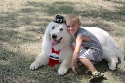 Duke the dog, famed mayor of Minn. township, retires amid failing health