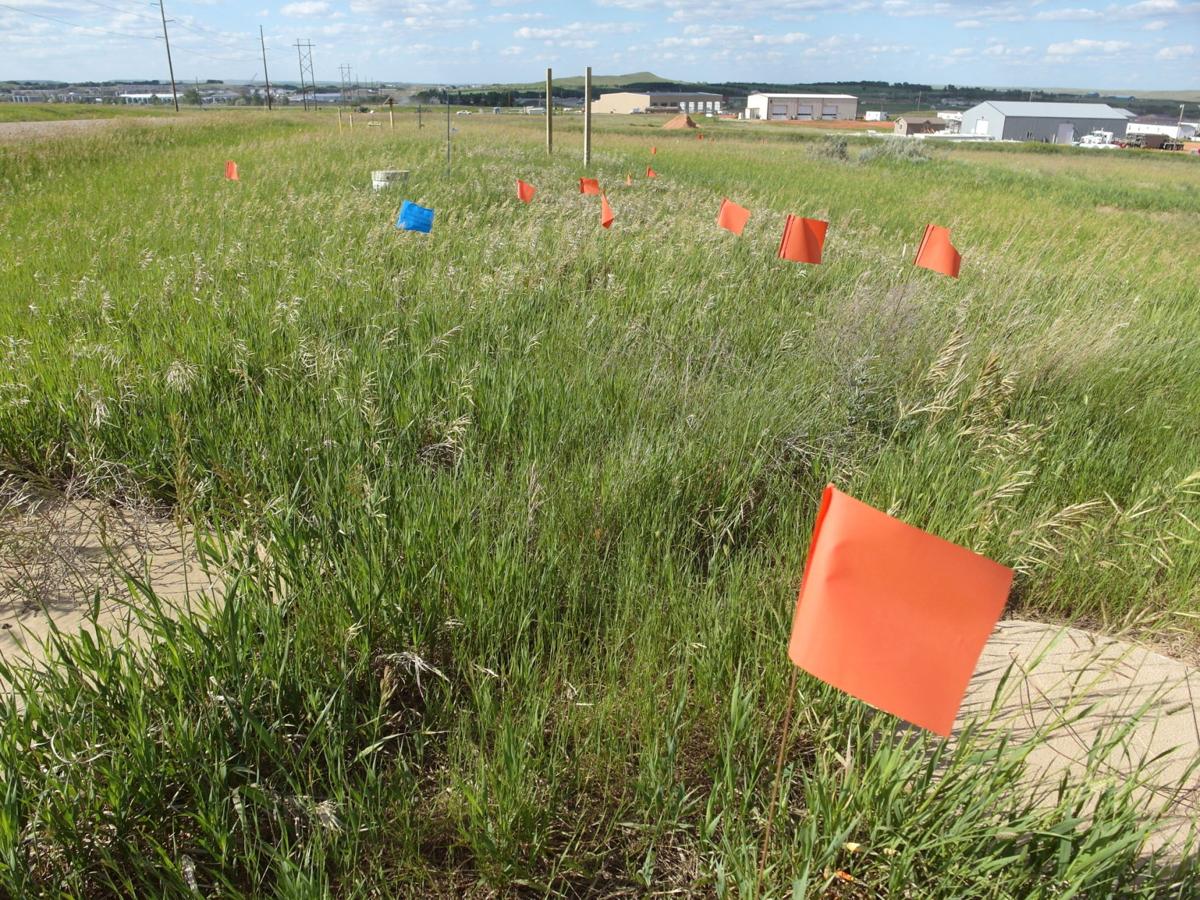 Pipeline flags becoming problem for western North Dakota landowners