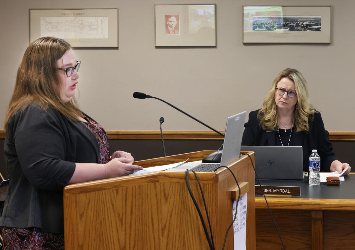 Few challenges arise to 'obscene' materials in North Dakota public ...