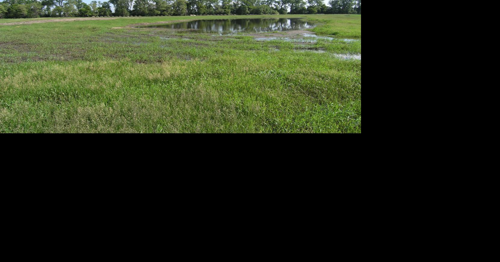 NRCS tackles backlog of wetland determinations