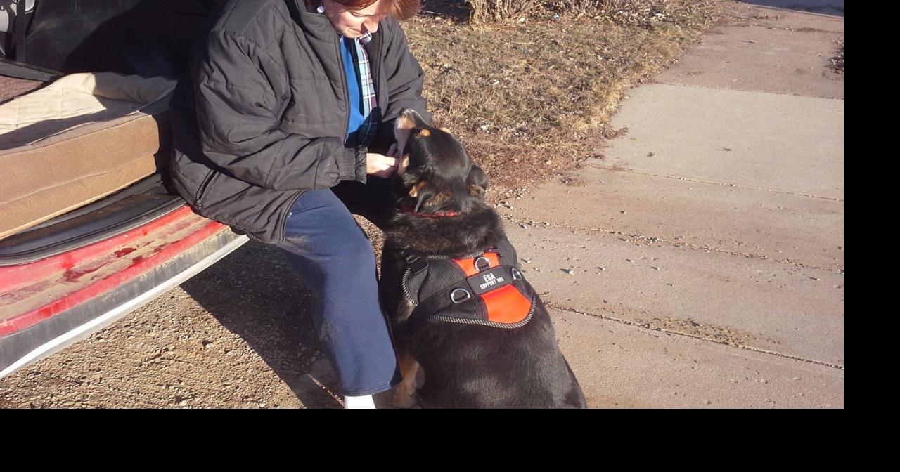 Canadian veteran, service dog negotiate obstacles