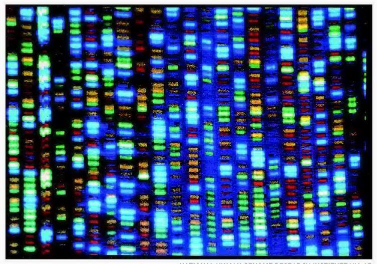 World's largest African genetic database underway