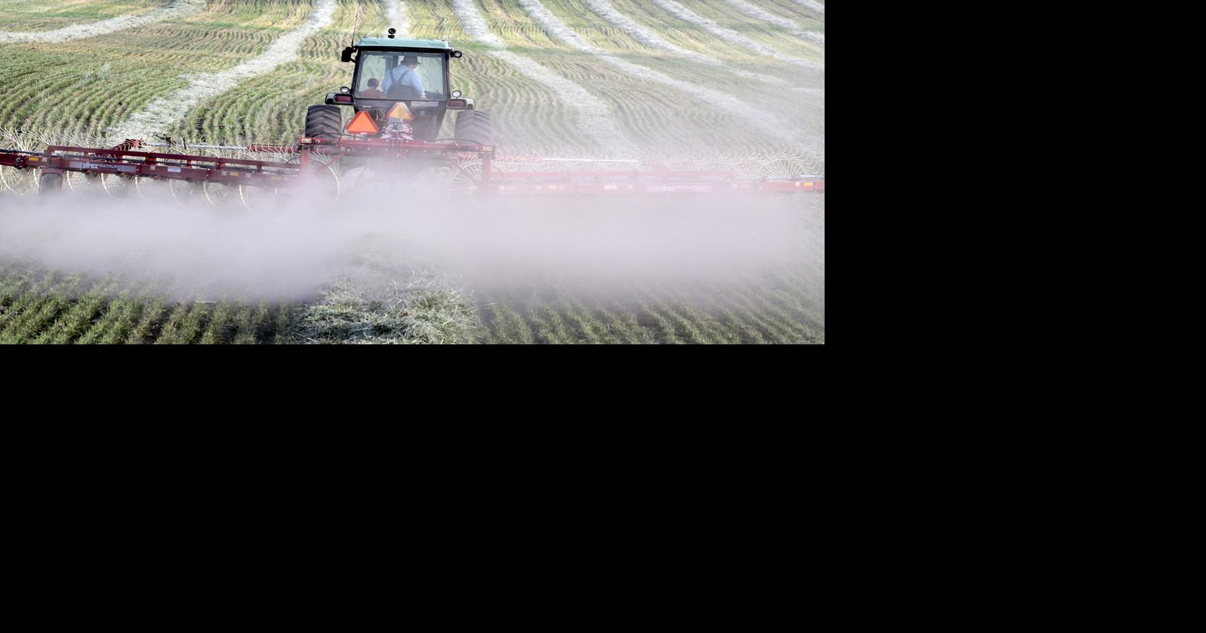 Mike McCleary's year-end photos for 2021