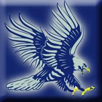 DICKINSON STATE FOOTBALL: Blue Hawks headed to Morningside in first round