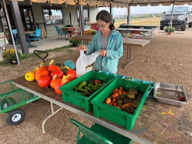 Small farms growing stronger roots in South Dakota farm-to-table movement