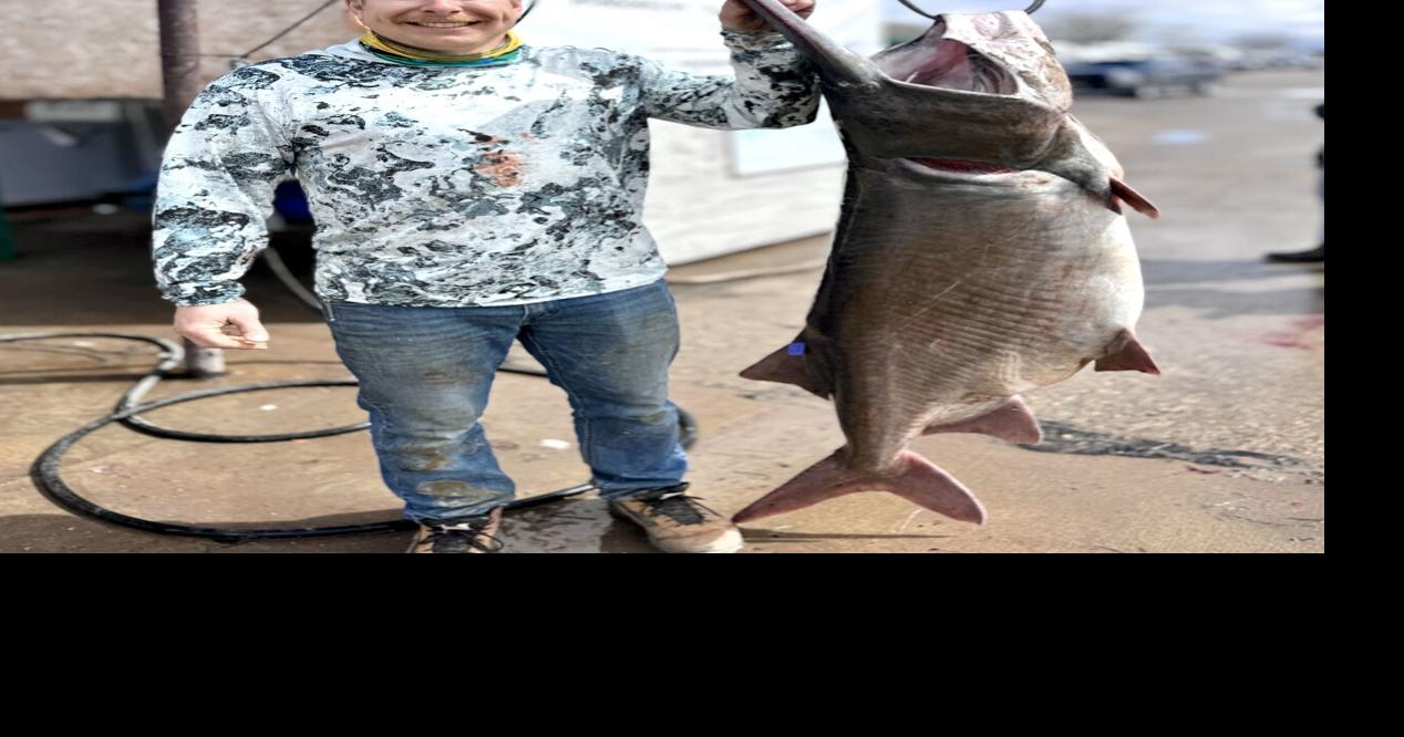 Mandan angler snags record-tying paddlefish