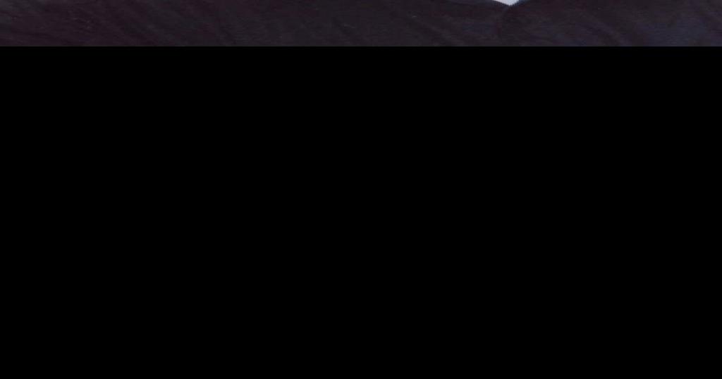 Steven Eberle's Instagram, Twitter & Facebook on IDCrawl