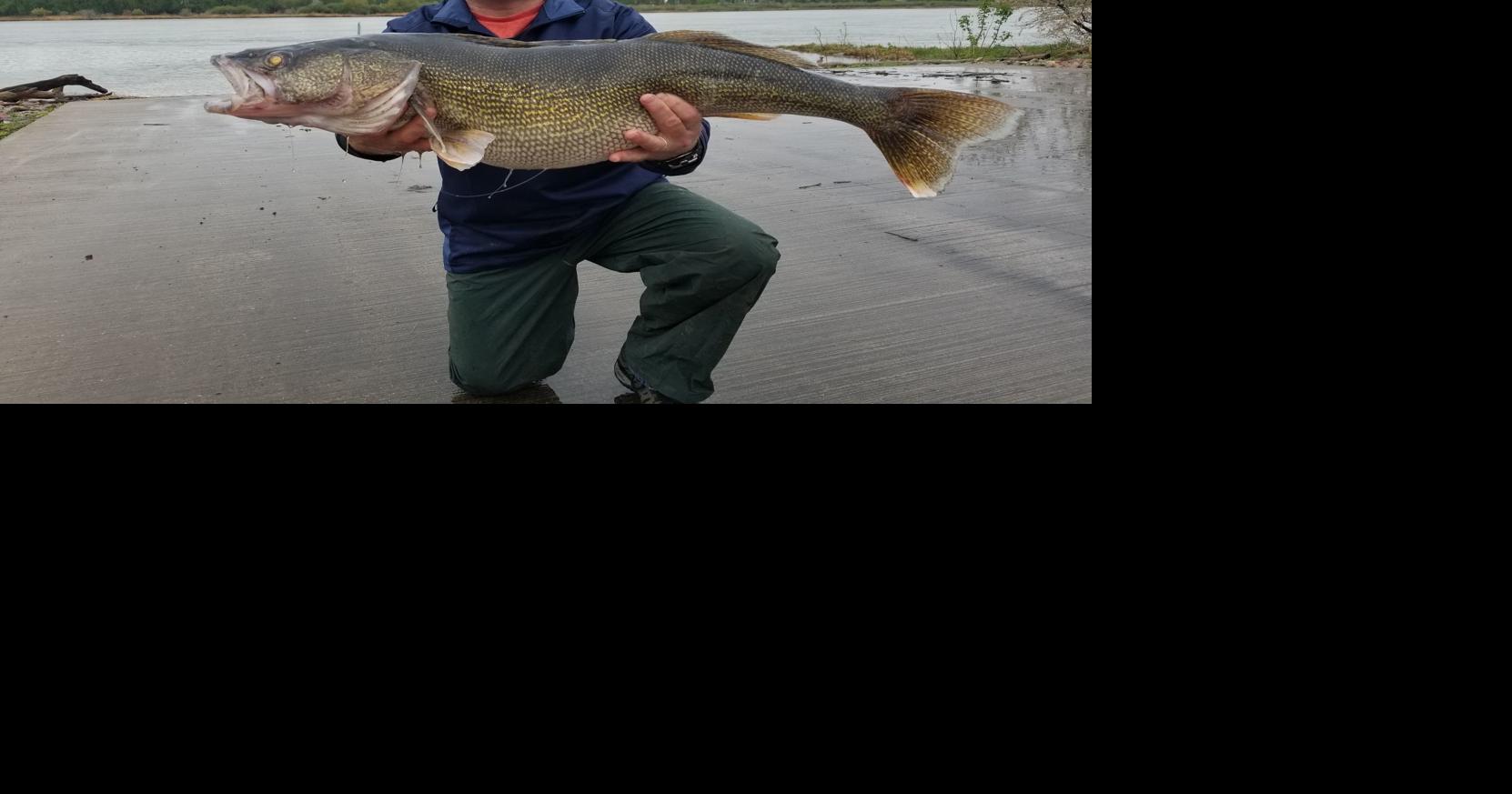 Record walleye leads to story of 1952 lunker