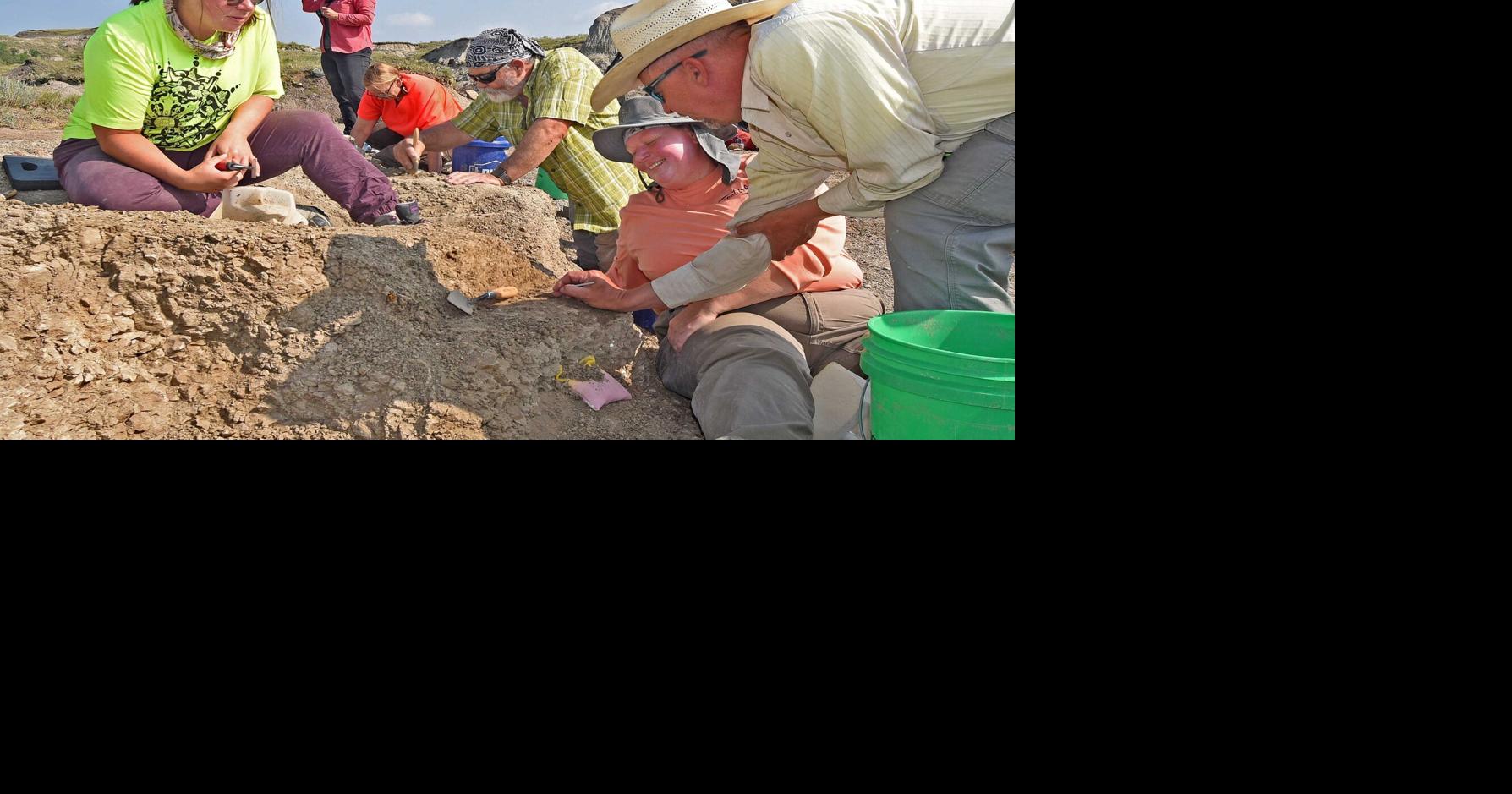 'Citizen science' on display at public fossil dig; volunteers aid state ...